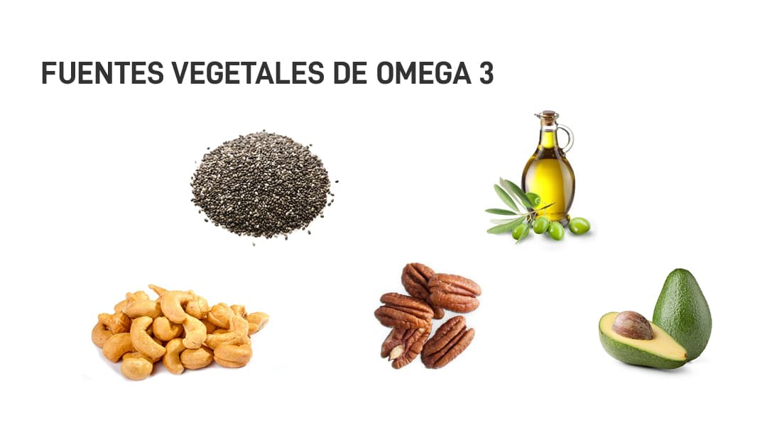 Omega 3: Beneficios, alimentos y suplementos de calidad.